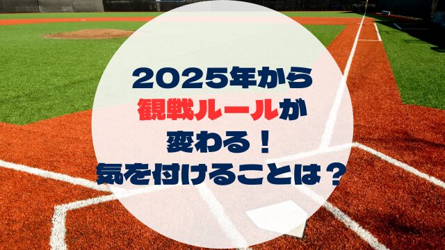 2025年プロ野球の観戦ルール変わる！写真撮影など気を付けることは？ | BASEBALL BUZZ